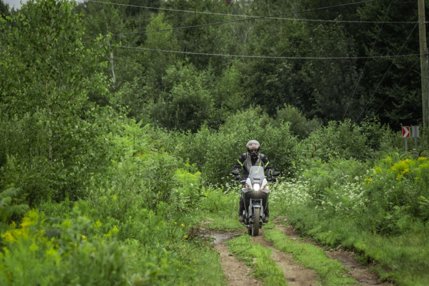 La Honda NX500, Simple Mais Pleine de Potentiel | Custom Tour Magazine